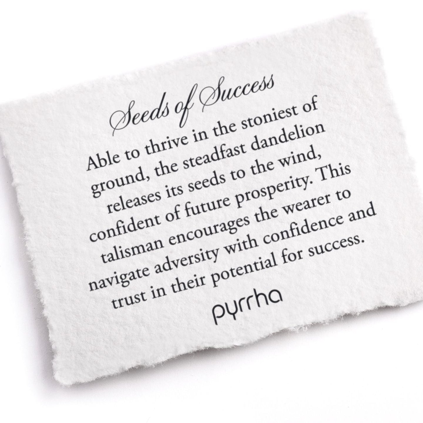 Seeds of Success Talisman Necklace — Violette Boutique